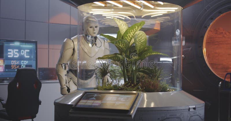 Robot Working with a Plant Incubator Stock Photo - Image of future ...