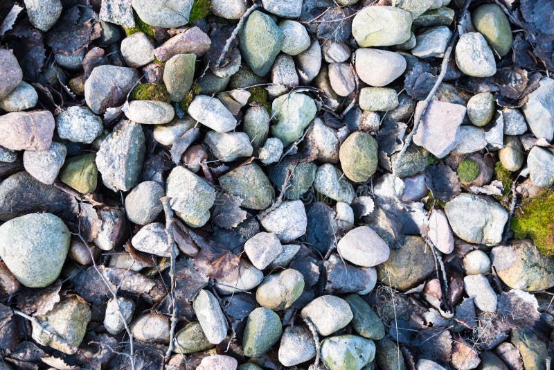 Medium size stones texture stock photo. Image of shapes - 56823116