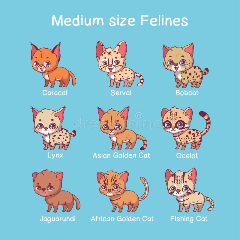 Medium Sized Feline Illustrations with Name Text Stock Vector ...