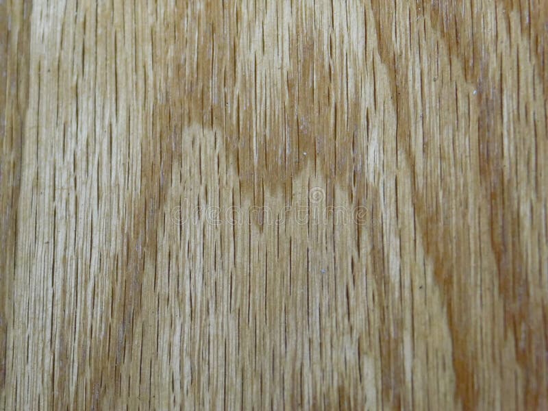 Medium Tone Wood Grain Backdrop Stock Photo - Image of texture, neutral ...