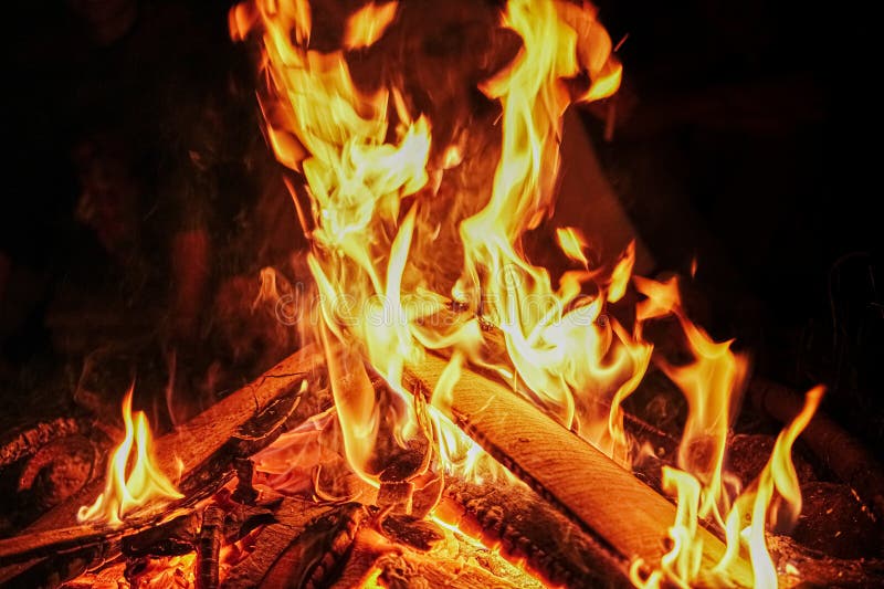 Medium View of Orange-colored Big Campfire Flame in Late Stage with ...
