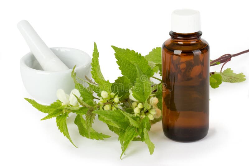Medizin Der Stechenden Nessel Stockfoto - Bild von flasche, kraut: 31128928