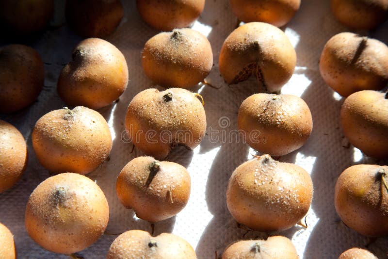 Bletting medlar fruit stock image. Image of decaying - 16579131