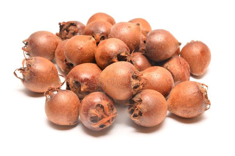 MEDLAR or MISPEL (MESPILUS GERMANICA) Stock Image - Image of food, path ...