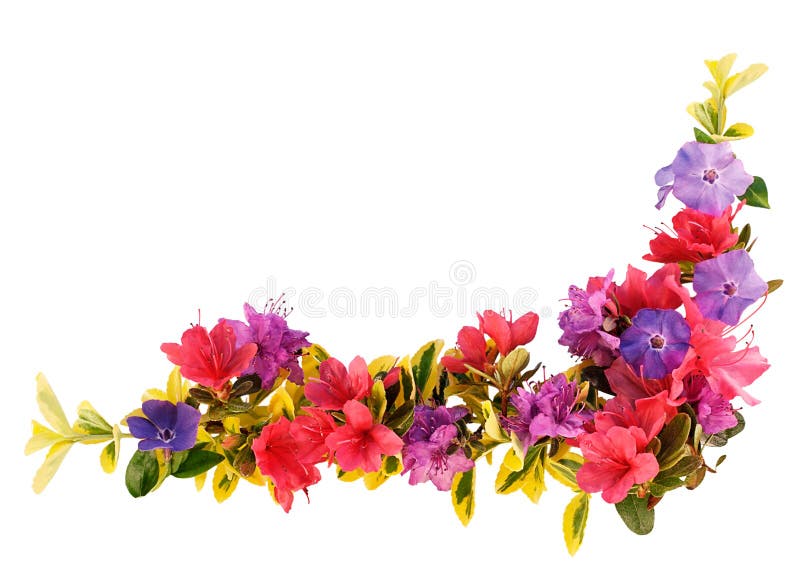 Medley of Fresh Spring Flowers Stock Illustration - Illustration of ...