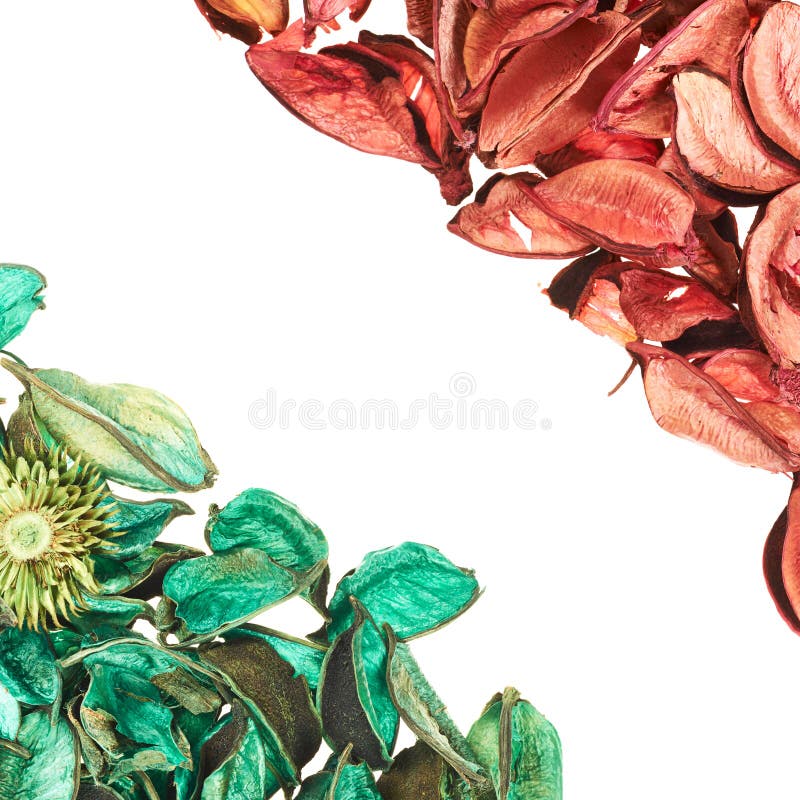 Potpourri Stock Illustrations – 248 Potpourri Stock Illustrations ...