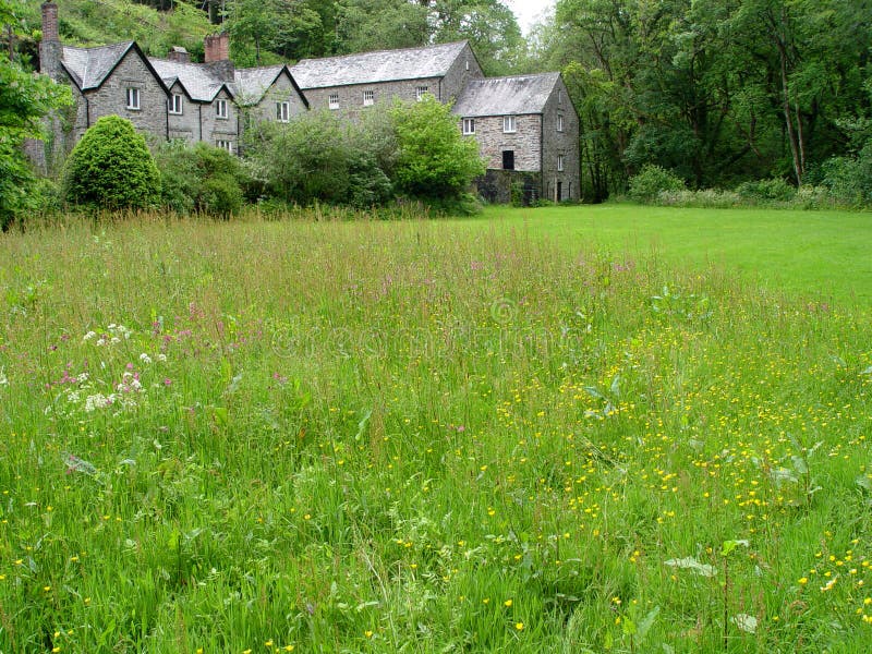 Medow stock photo. Image of pasture, landscape, outdoors - 12244182