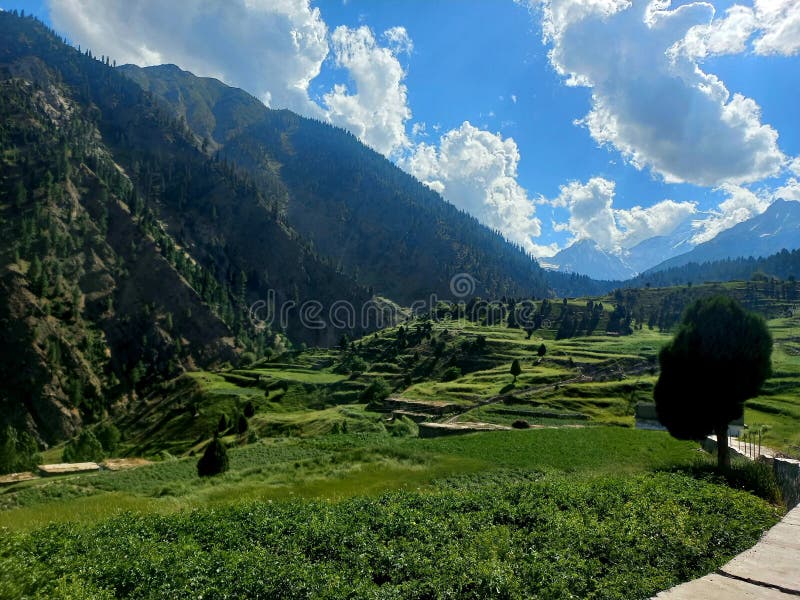 Astoor Stock Photos - Free & Royalty-Free Stock Photos from Dreamstime