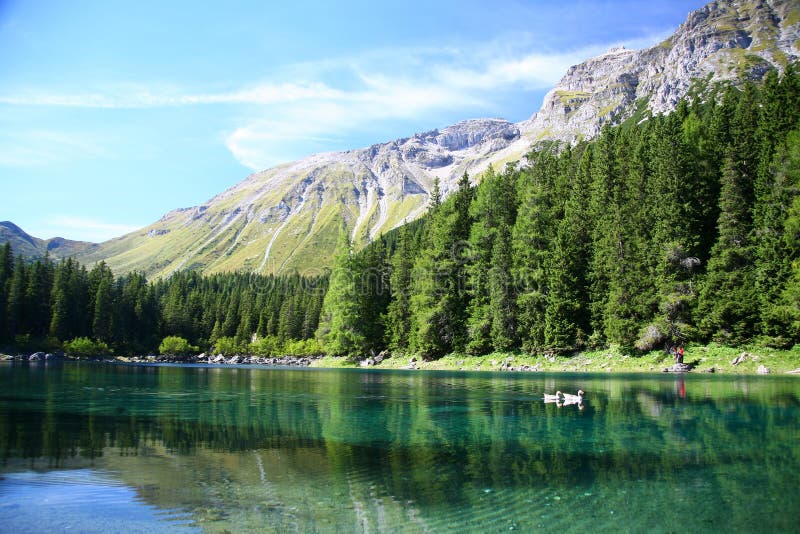 Meer, bomen en bergen stock foto. Image of kleur, hemelen - 17600128