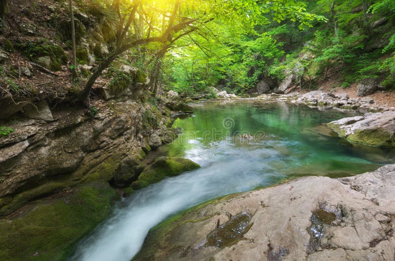 Meer in bos stock afbeelding. Image of stromend, lente - 99135451