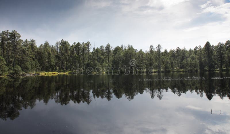 Meer in Bos Met Bezinning Van Bomen En Hemel Stock Foto - Image of berg ...