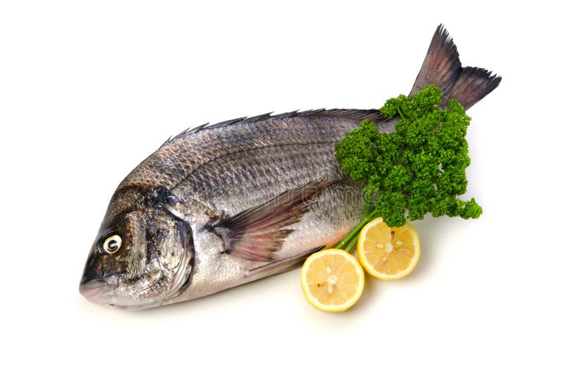 Meer-Brachsen stockbild. Bild von nahrung, meer, organisch - 26498165