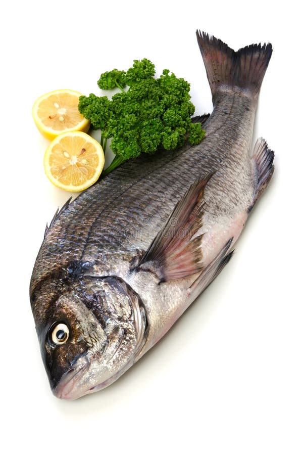 Meer-Brachsen stockbild. Bild von nahrung, meer, organisch - 26498165