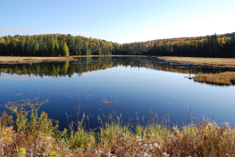 Meer en Bos stock afbeelding. Image of sinaasappel, provinciaal - 11818039