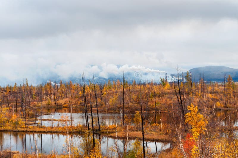 Een Meer in Toendra Achter De Polaire Cirkel Stock Foto - Image of ...
