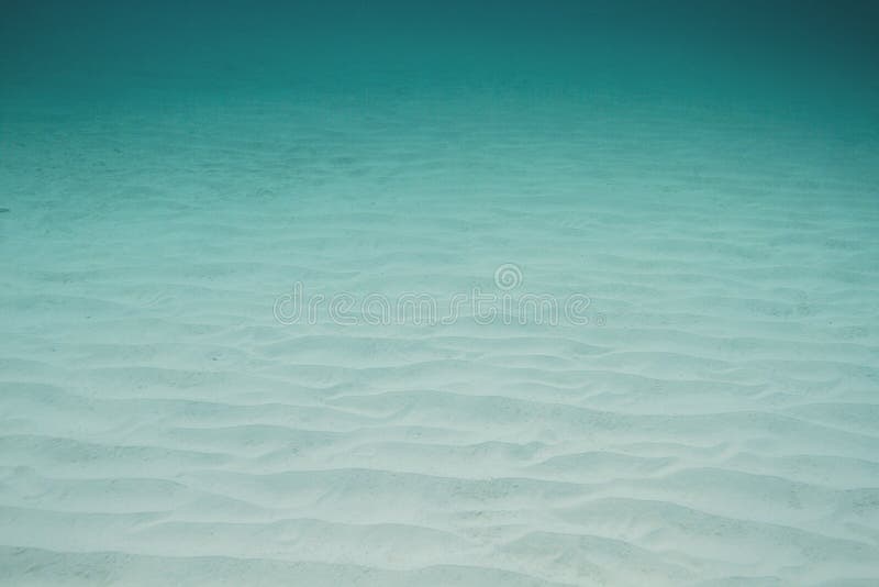 Meeresboden stockfoto. Bild von muster, unterseite, eindrucksvoll ...