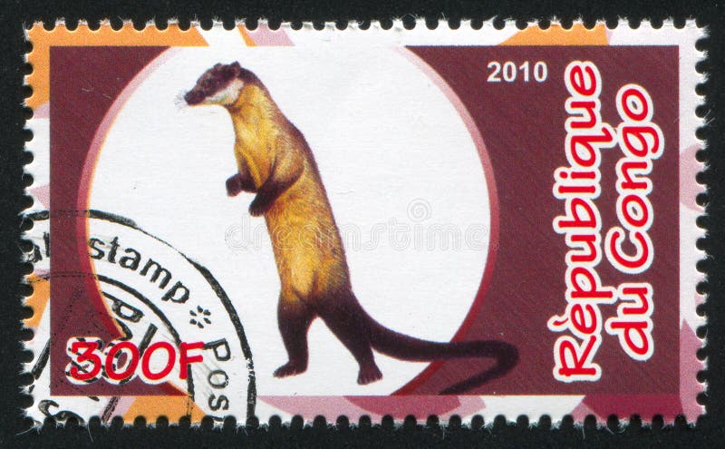 Meerkat editorial image. Image of postage, head, message - 321965375