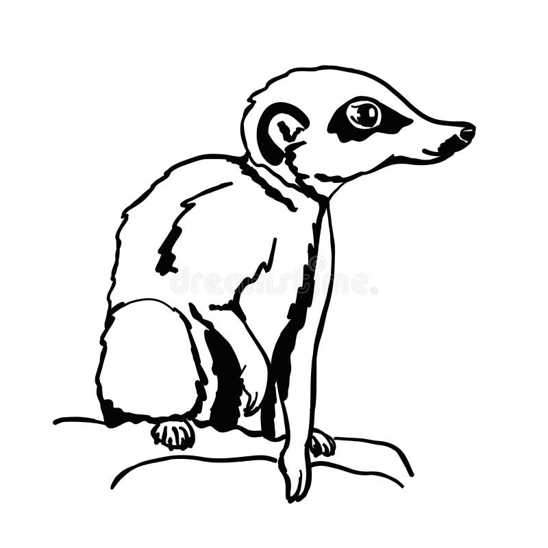 Meerkat Line Stock Illustrations – 634 Meerkat Line Stock Illustrations ...