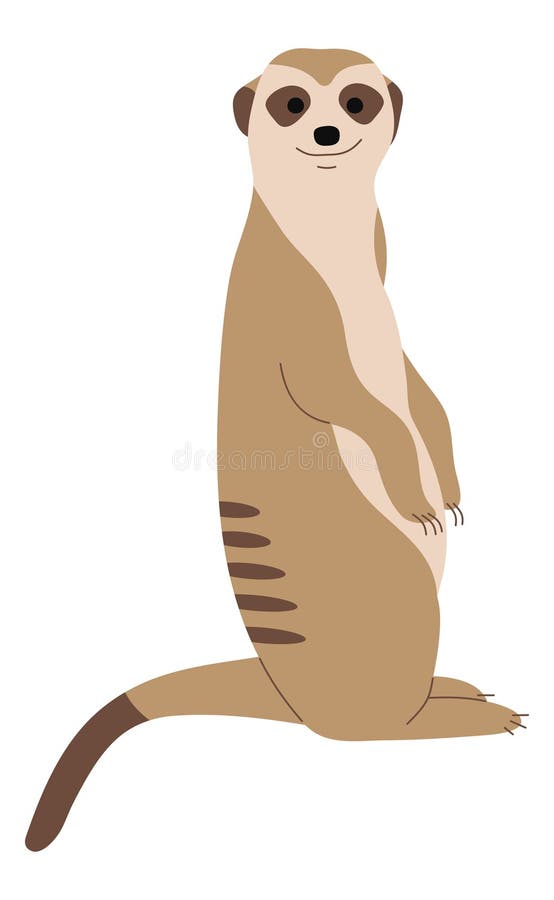 Meerkat Single Stock Illustrations – 242 Meerkat Single Stock ...