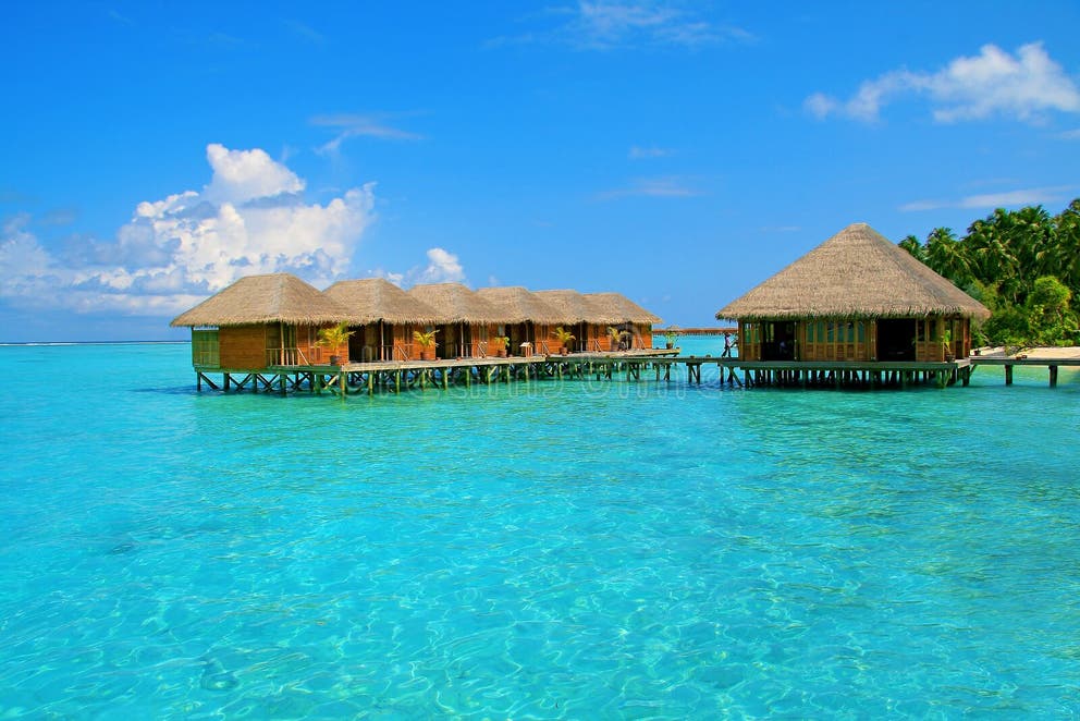 Meeru stock photo. Image of palm, marine, honeymoon, holiday - 19110616