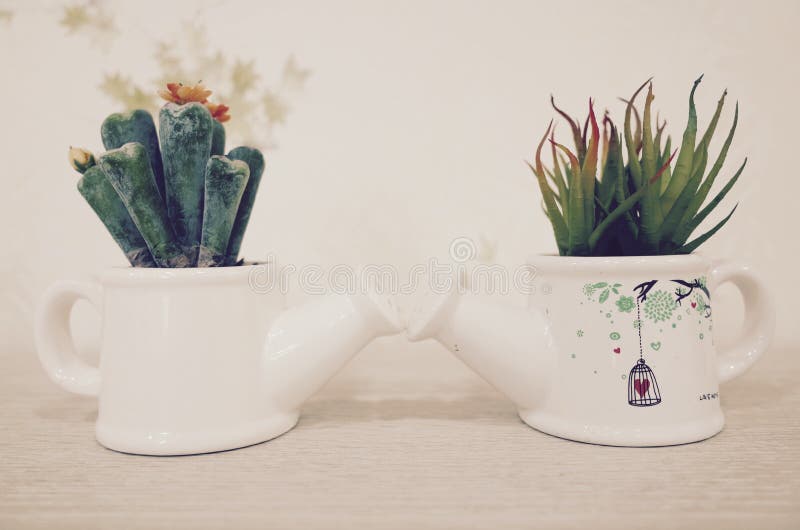 Meeting between two plants stock photo. Image of fighting - 72388984