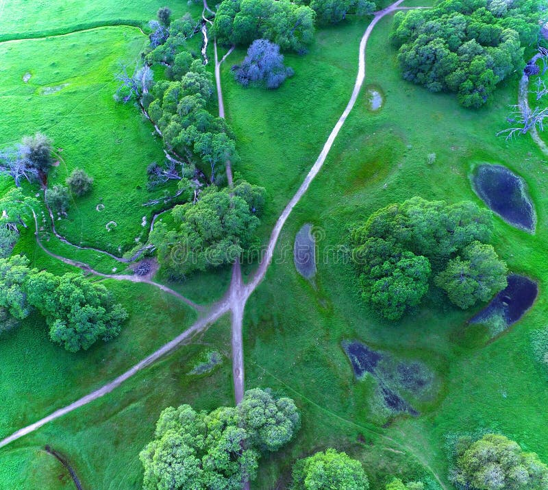 Meeting of Paths stock photo. Image of grass, crossroad - 78030664