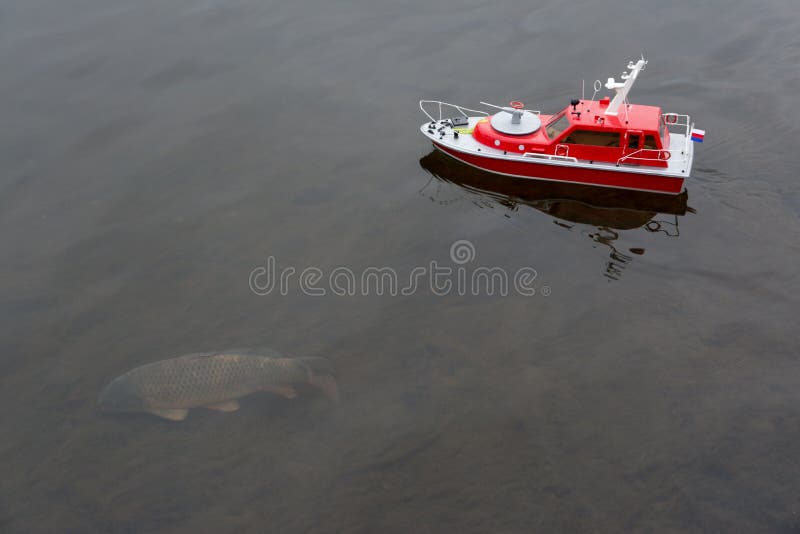 Meeting of Ship Model and a Carp Stock Photo - Image of remote, control ...
