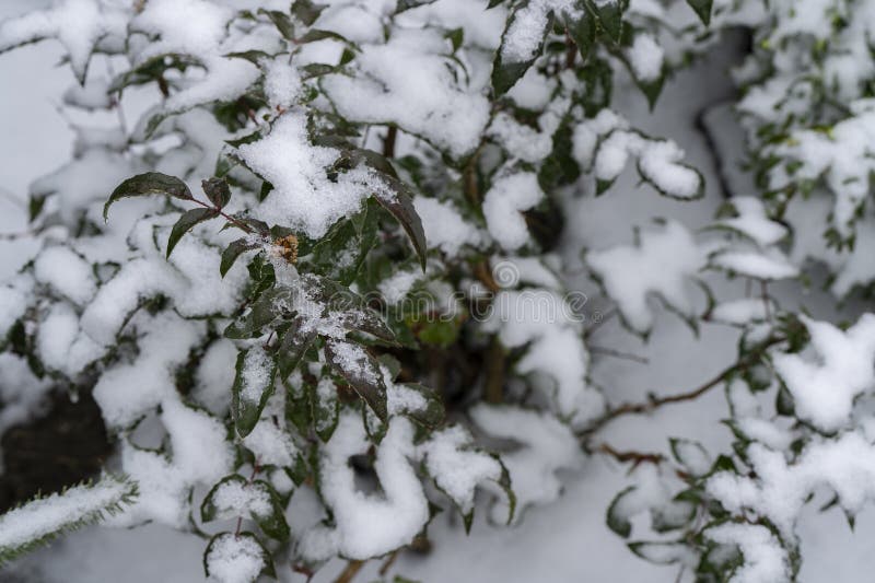 Meeting Winter Summer 2 Stock Photos - Free & Royalty-Free Stock Photos ...