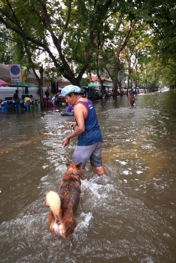 Mega Floods at Bangkok in Thailand. Editorial Photo - Image of natural ...