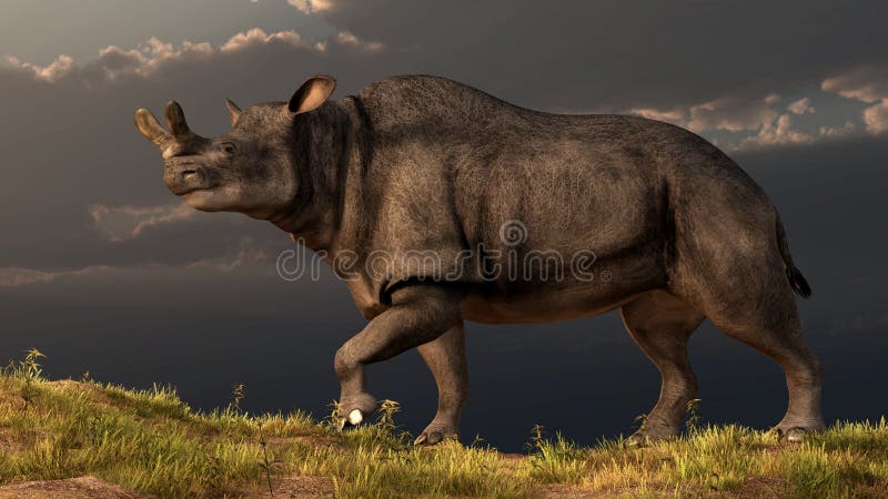 Brontotherium或走megacerops的恐龙- 3D 库存例证 - 插画 包括有 重婚, 行走: 58585710