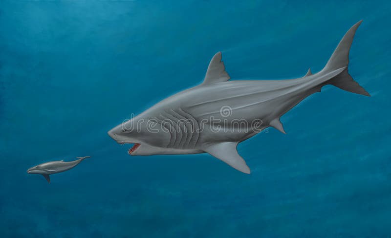 Megalodon Side Profile stock photo. Image of prehistoric - 40611652