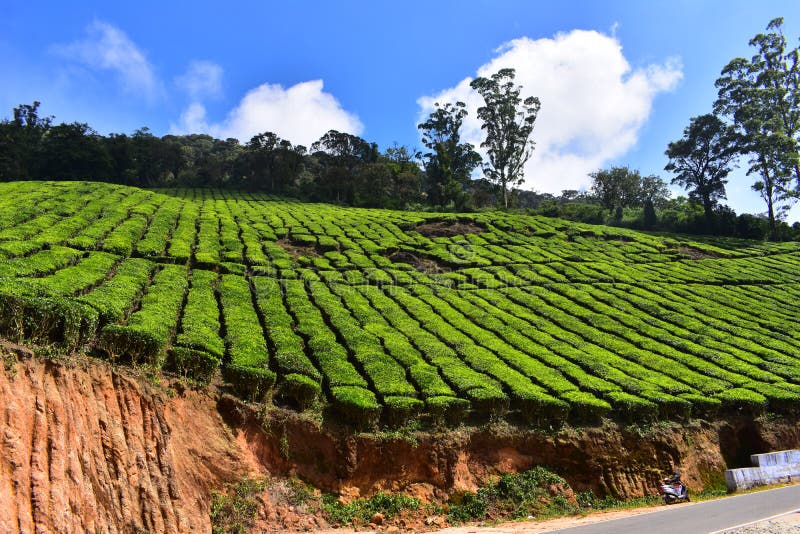 Meghamalai High Wavy Mountains - the Hidden Paradise Stock Photo ...