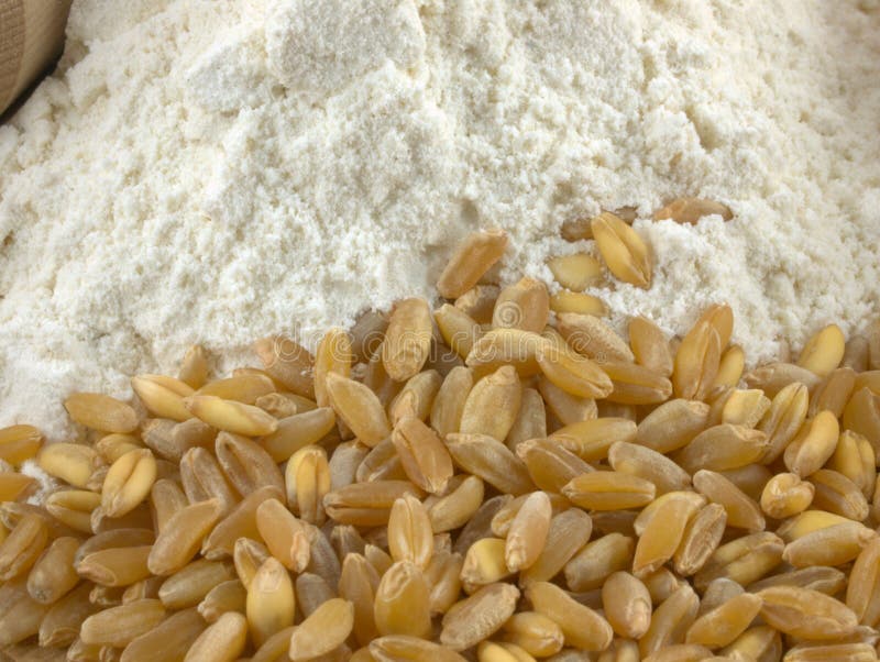 Mehl stockfoto. Bild von bäckerei, bündel, stangenbrot - 12839054