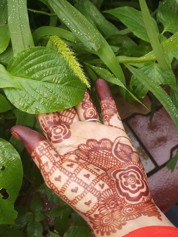 Mehndi Art in India it is Beautiful Hand Stock Photo - Image of mehndi ...