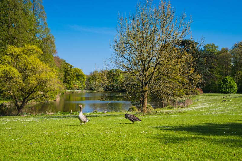 Meise Botanic Garden stock image. Image of botanical - 70944695