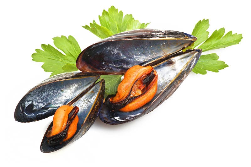 Mejillones negros foto de archivo. Imagen de anaranjado - 57962786