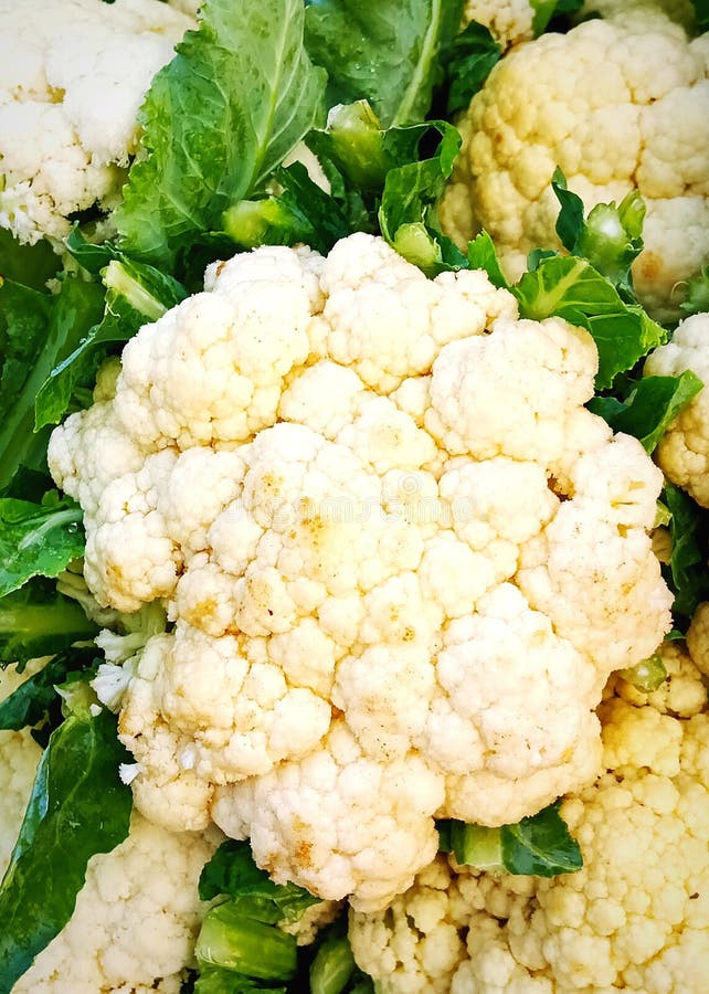 Mejor Verduras De Coliflor Agradable Imagen Imagen de archivo - Imagen ...
