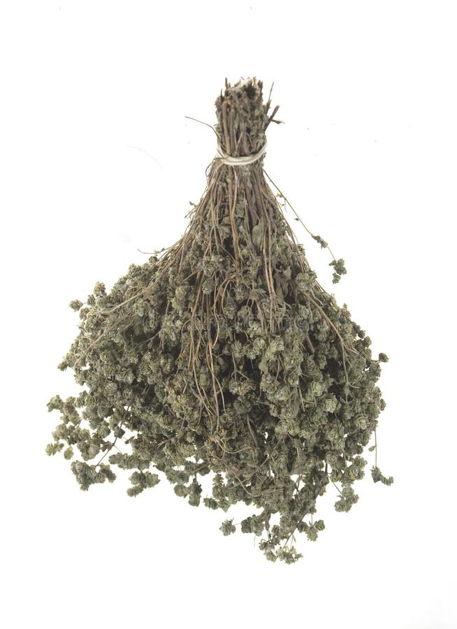 Mejorana seca imagen de archivo. Imagen de verde, hojas - 11553507