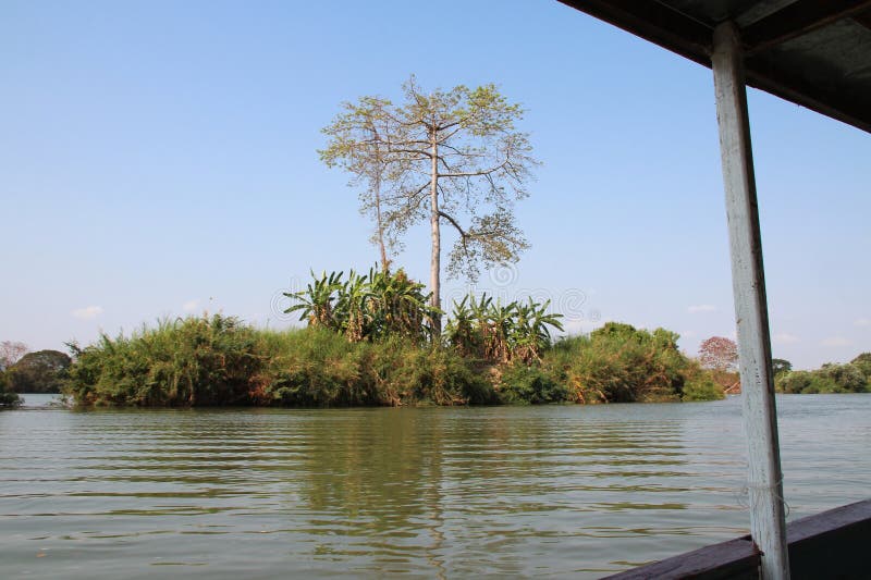 Mekong River and Trees in Laos Stock Image - Image of river, edge ...