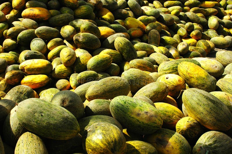 Melón dulce imagen de archivo. Imagen de pilas, fondo - 12242625
