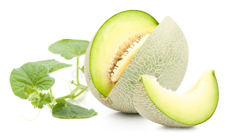 Melón verde del cantalupo foto de archivo. Imagen de fruta - 86445344