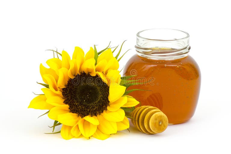 Mel e girassol imagem de stock. Imagem de transparente - 36308377