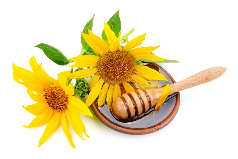 Mel e girassol da abelha foto de stock. Imagem de girassol - 74203722