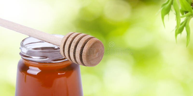 Mel Natural No Verde Da Natureza Imagem de Stock - Imagem de delicioso ...
