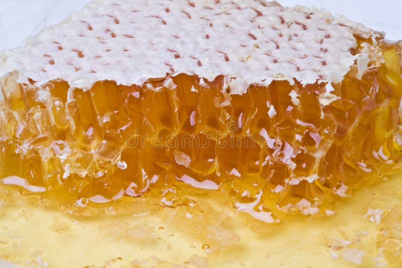 Mel no favo de mel imagem de stock. Imagem de orgânico - 7193185