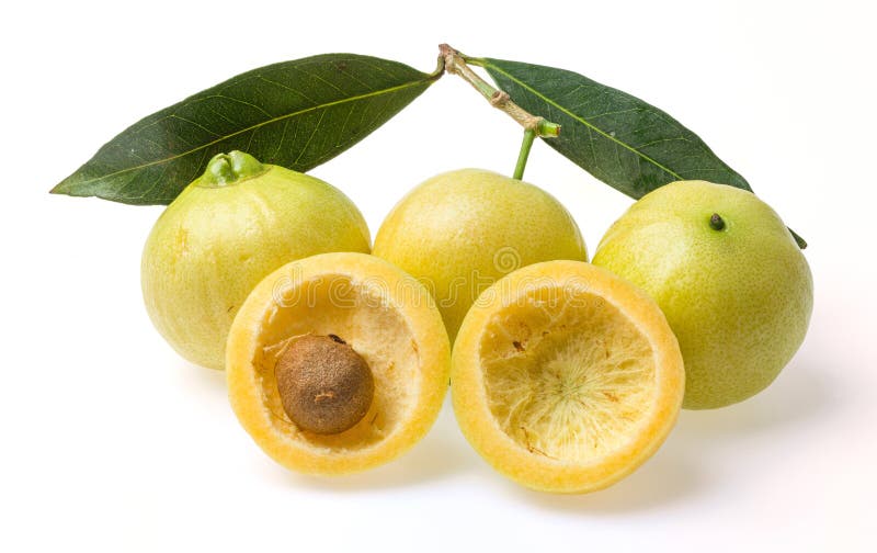 Melarosa Con Il Morso, Isolato Fotografia Stock - Immagine di dolce ...