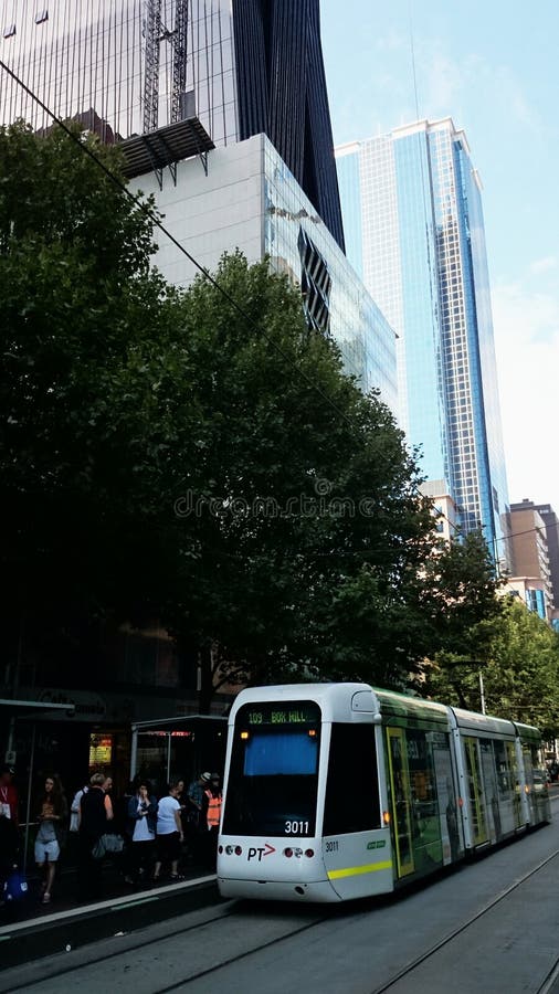 Melbourne Street View editorial image. Image of tree - 51766115