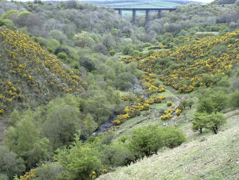 Meldon Quarry, Near Meldon, Dartmoor Stock Photo - Image of meldon ...