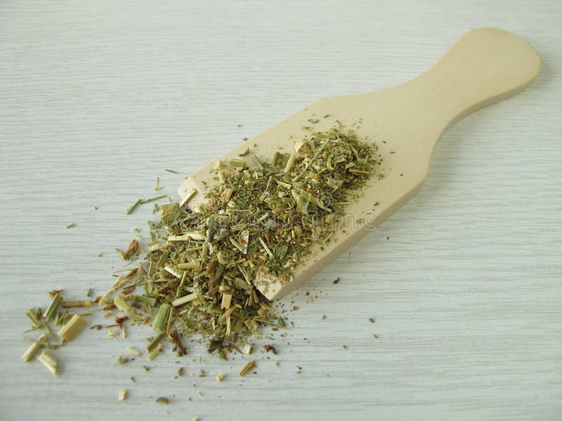 Melilot, Meliloti herba stock image. Image of melilotus - 22675097