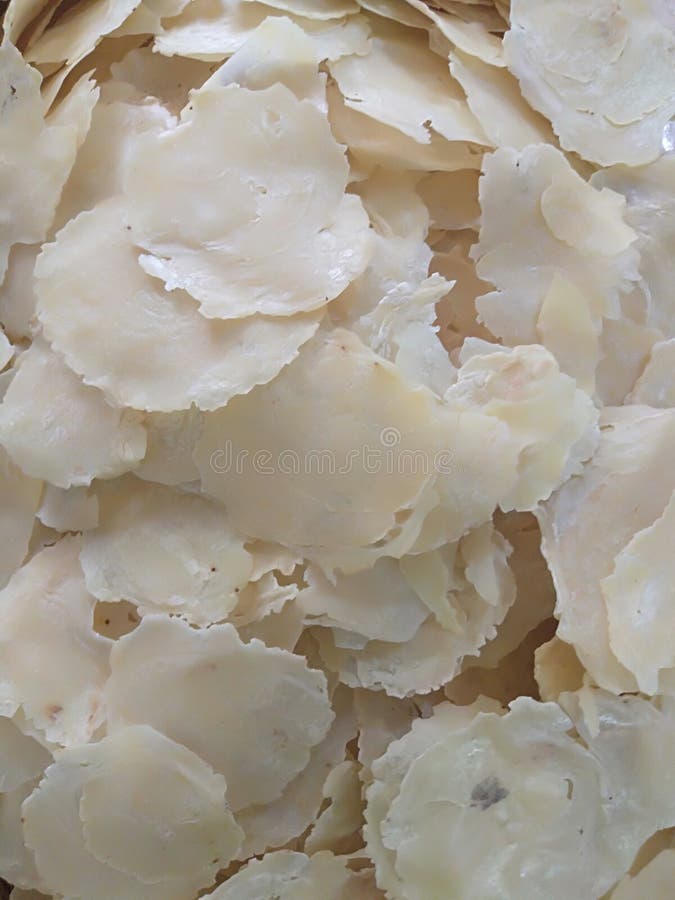 Crushed Melinjo Seeds Stock Photos - Free & Royalty-Free Stock Photos ...